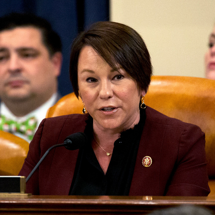 Republican Women in Congress to Remain a Small Band in 2021