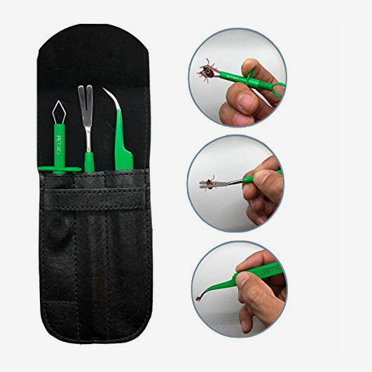 How to Remove a Tick Safely and Correctly 2019