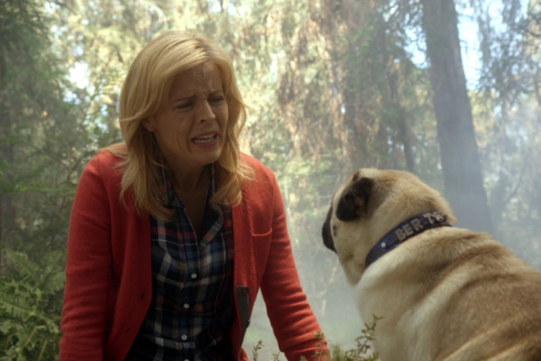 Lady Dynamite - TV Episode Recaps & News