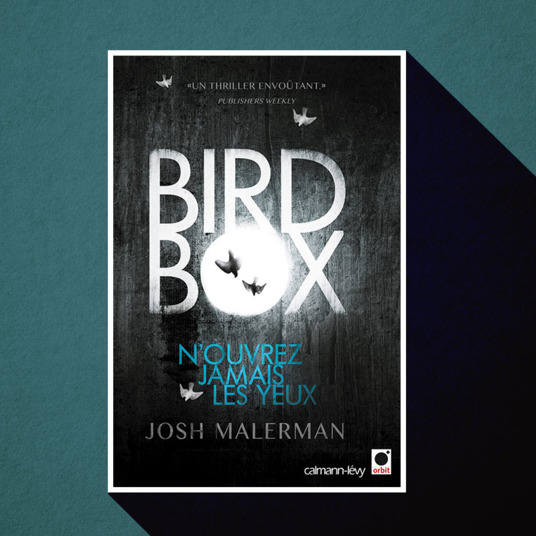 How Torturous Is ‘A Dog’s Way Home’ for Animal Lovers?