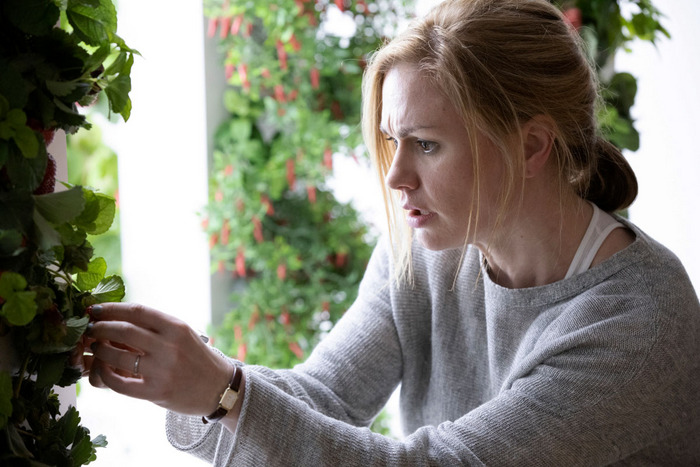 The Affair’s Sarah Treem on Season 5’s Environmental Crisis