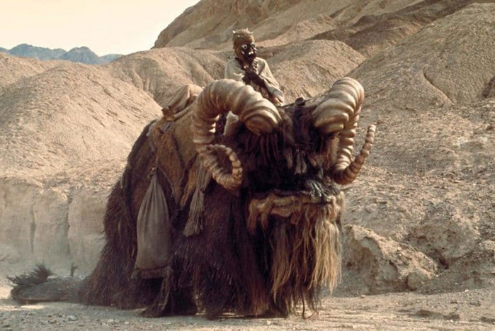 The Cutest ‘Star Wars’ Creatures: Baby Yoda to Babu Frick