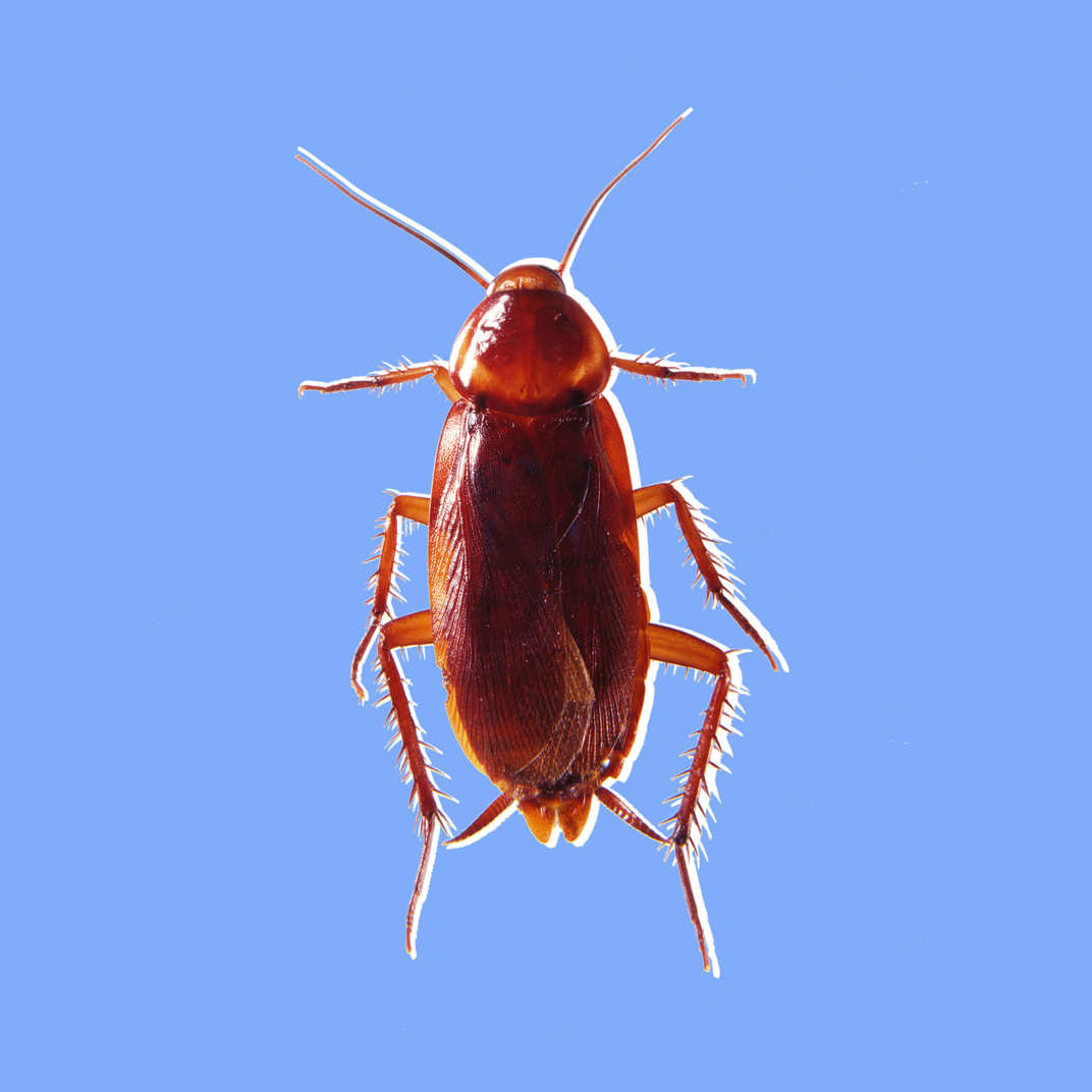 Science of Us: Productivity, Mental Health, & Relationships - The Cut