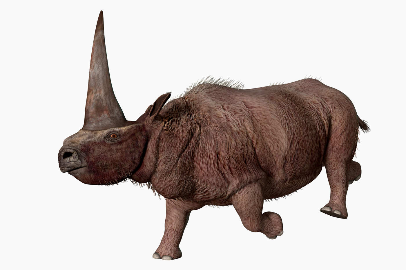 Nature: Unicorns were real, lived alongside early humans (artist's ...