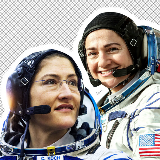 Is Bruce Hay the Most Gullible Man in Cambridge?